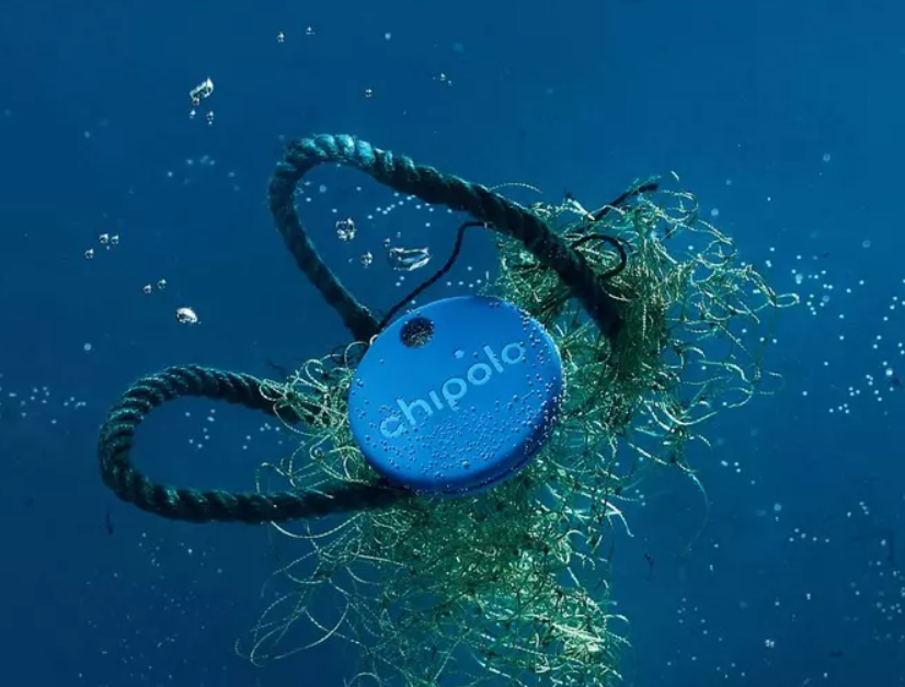 Blue Green Group株式会社 - 一般社団法人 ソーシャルプロダクツ普及推進協会（APSP）