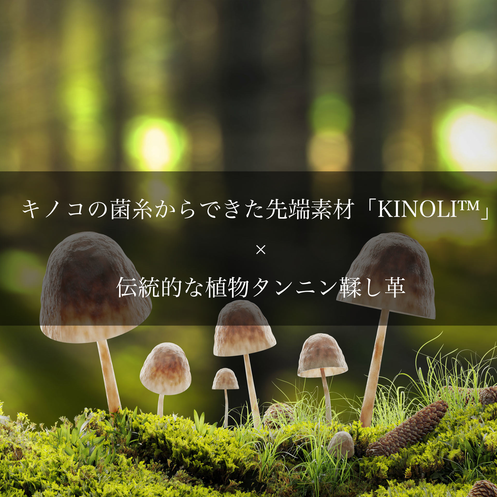 【自由テーマ】Hitoe® Fold Aria -Mushroom- （SPA）- 一般社団法人 ソーシャルプロダクツ普及推進協会（APSP）